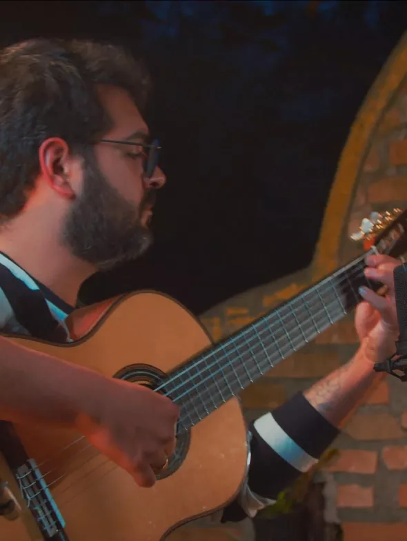 Artistas - Tagima Guitars